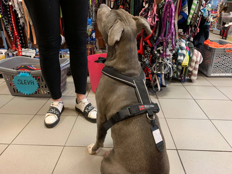 Postroj pro psy Line Non-stop Dogwear | Hafhaf-shop.cz